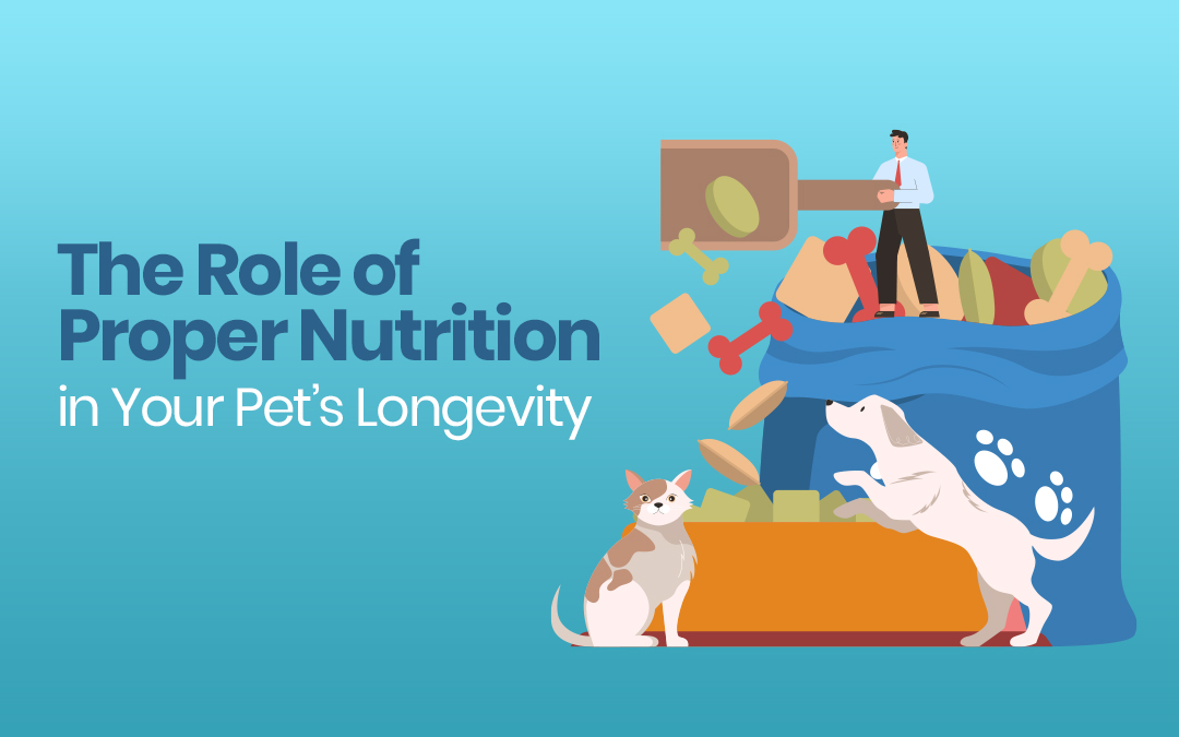 The Role of Proper Nutrition in Your Pet’s Longevity